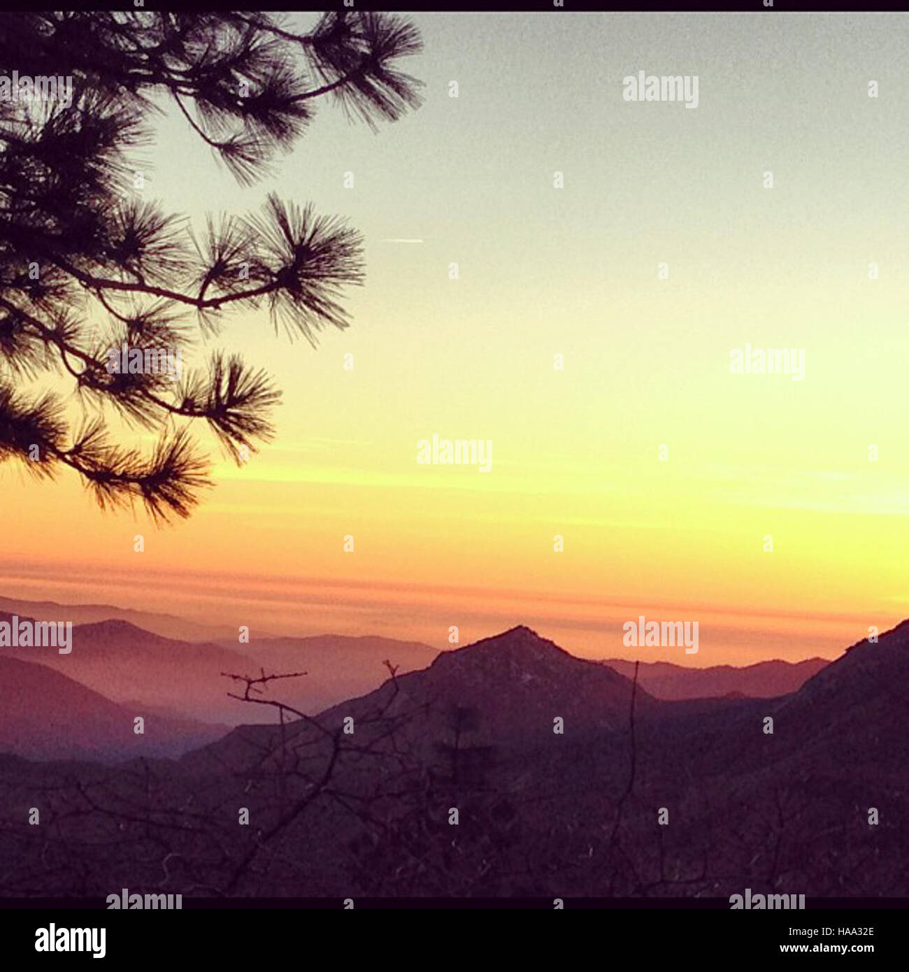 Sequoia National Park offers a stunning natural view, with its iconic ...