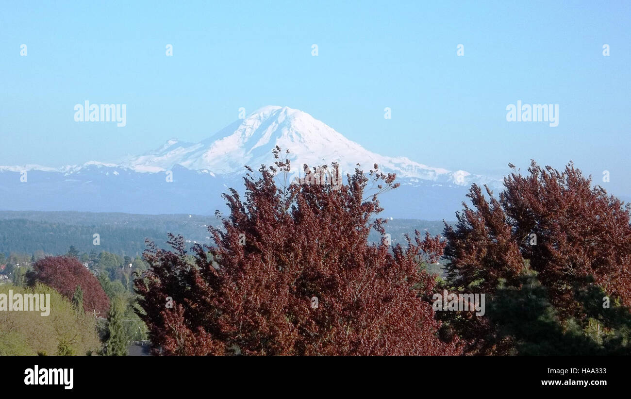 Mount Rainier, located in Washington State, is a prominent feature of ...