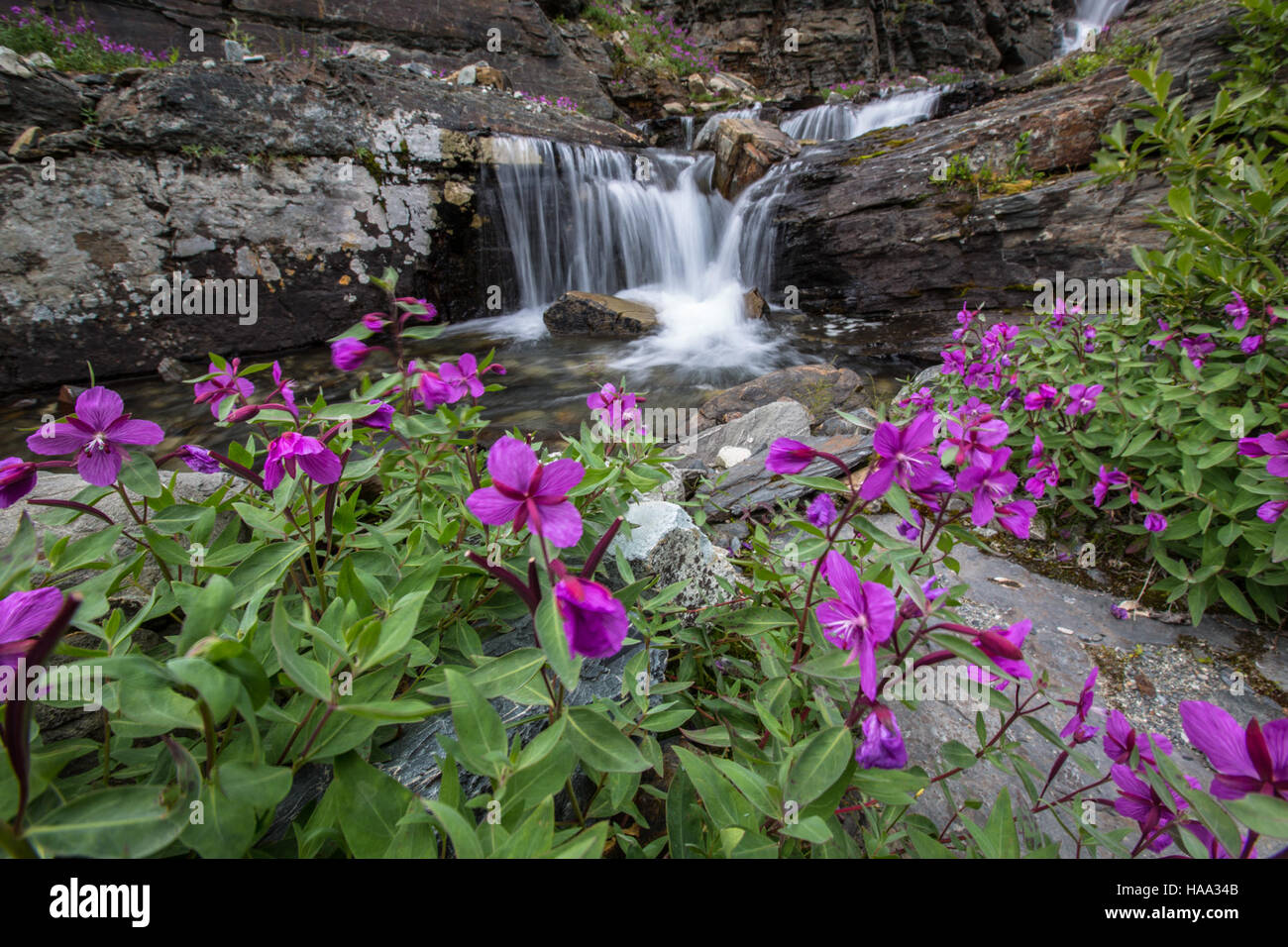 This image captures the scenic beauty of waterfalls along the aqueducts ...