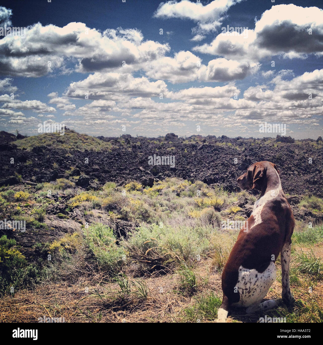 Visitors admire Big Cinder Butte from a distance at the Craters of the ...