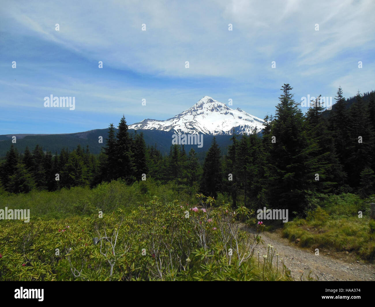 Mount Hood National Forest, located in Oregon, is a prominent natural ...