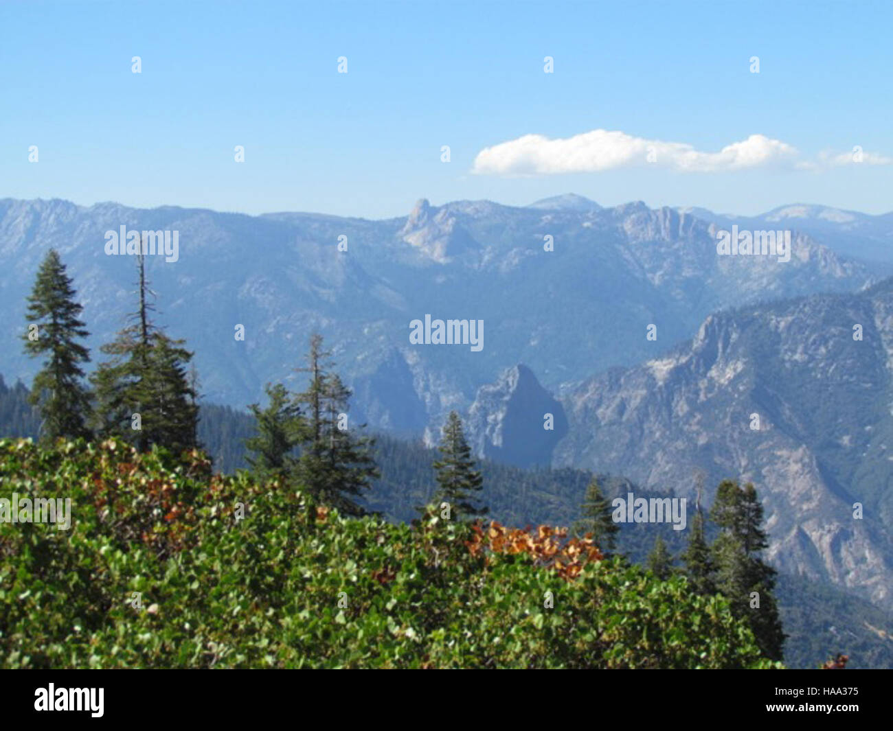 Sequoia National Park is home to some of the world’s tallest trees ...
