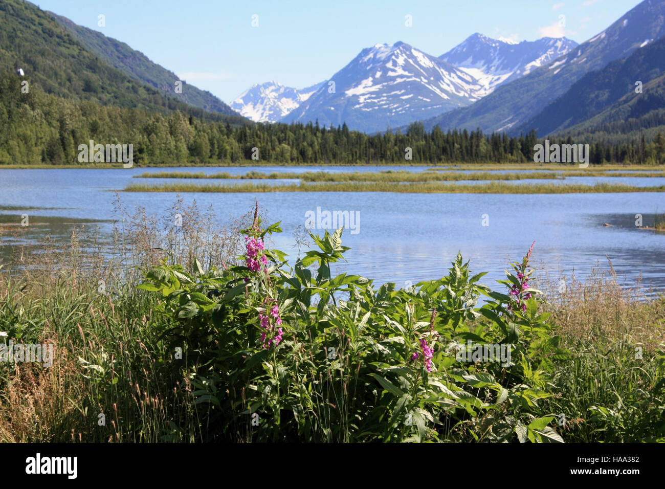 Sterling junction hi-res stock photography and images - Alamy