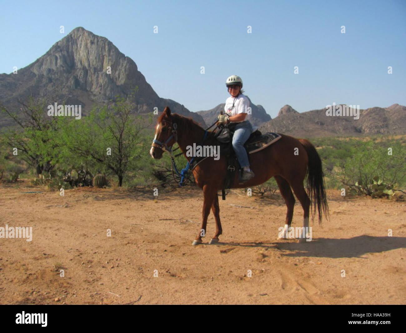 Riders traverse the scenic terrain of Elephant Head, Arizona, offering ...