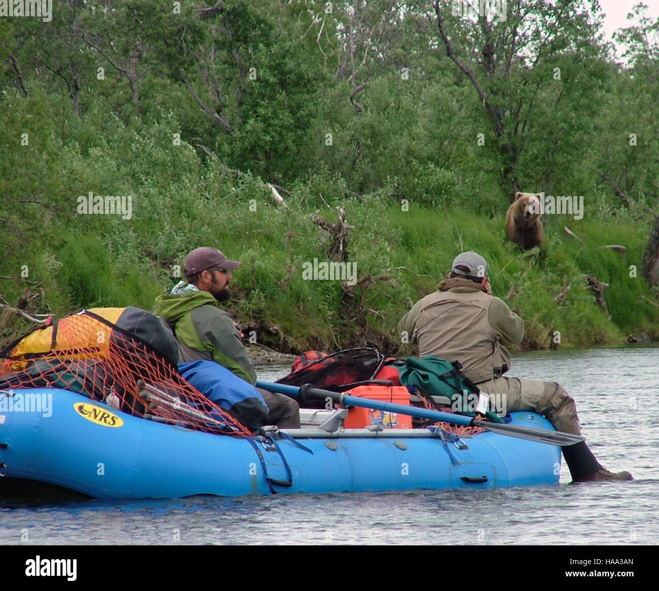 The image shows a close encounter in the Togiak National Wildlife ...