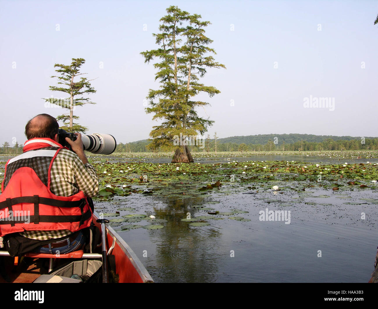 A scenic photograph by Peter Rea and Vergial Harp, capturing the ...