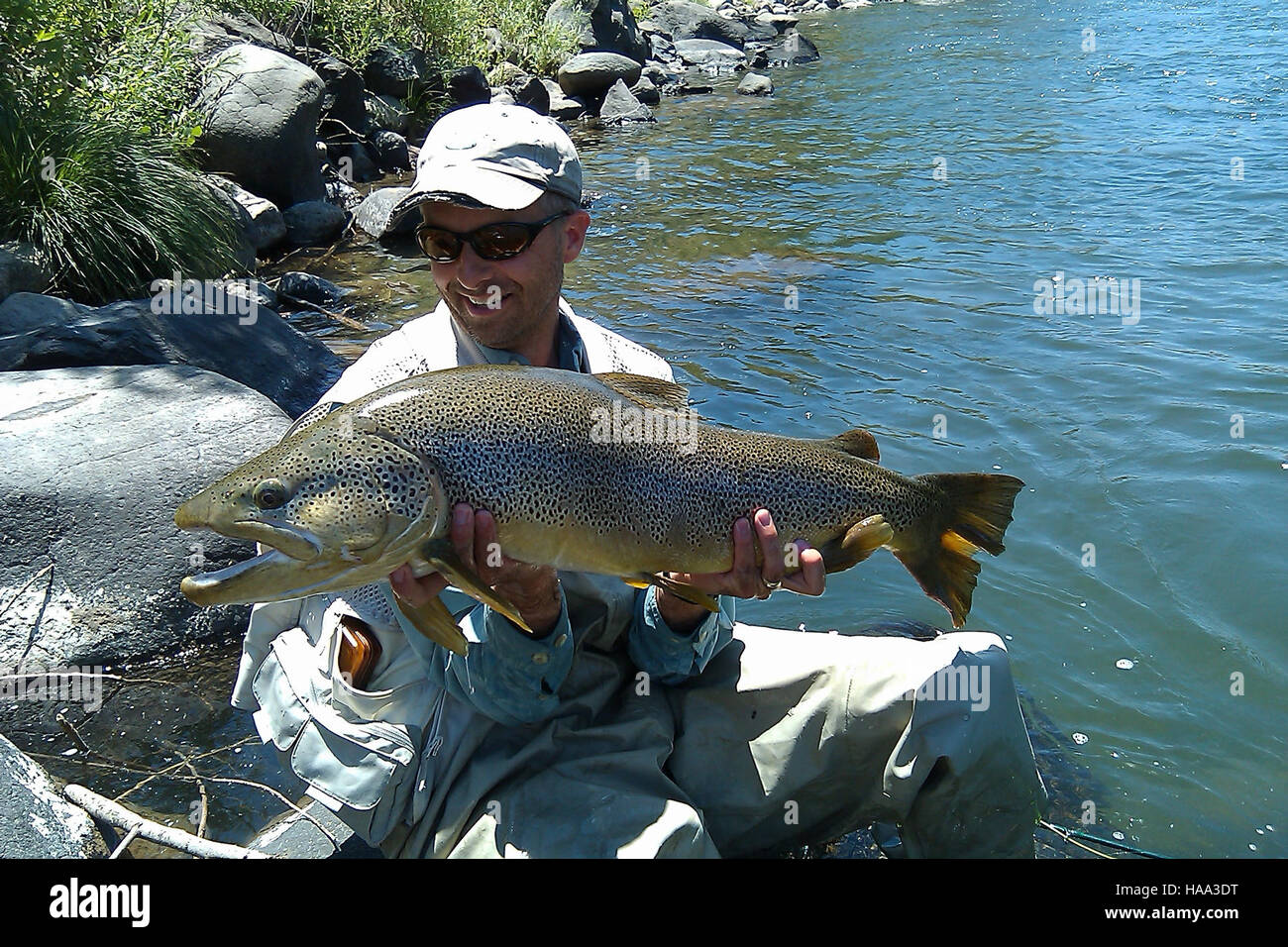 A 32-inch brown trout caught in the Truckee River, Nevada, highlights ...