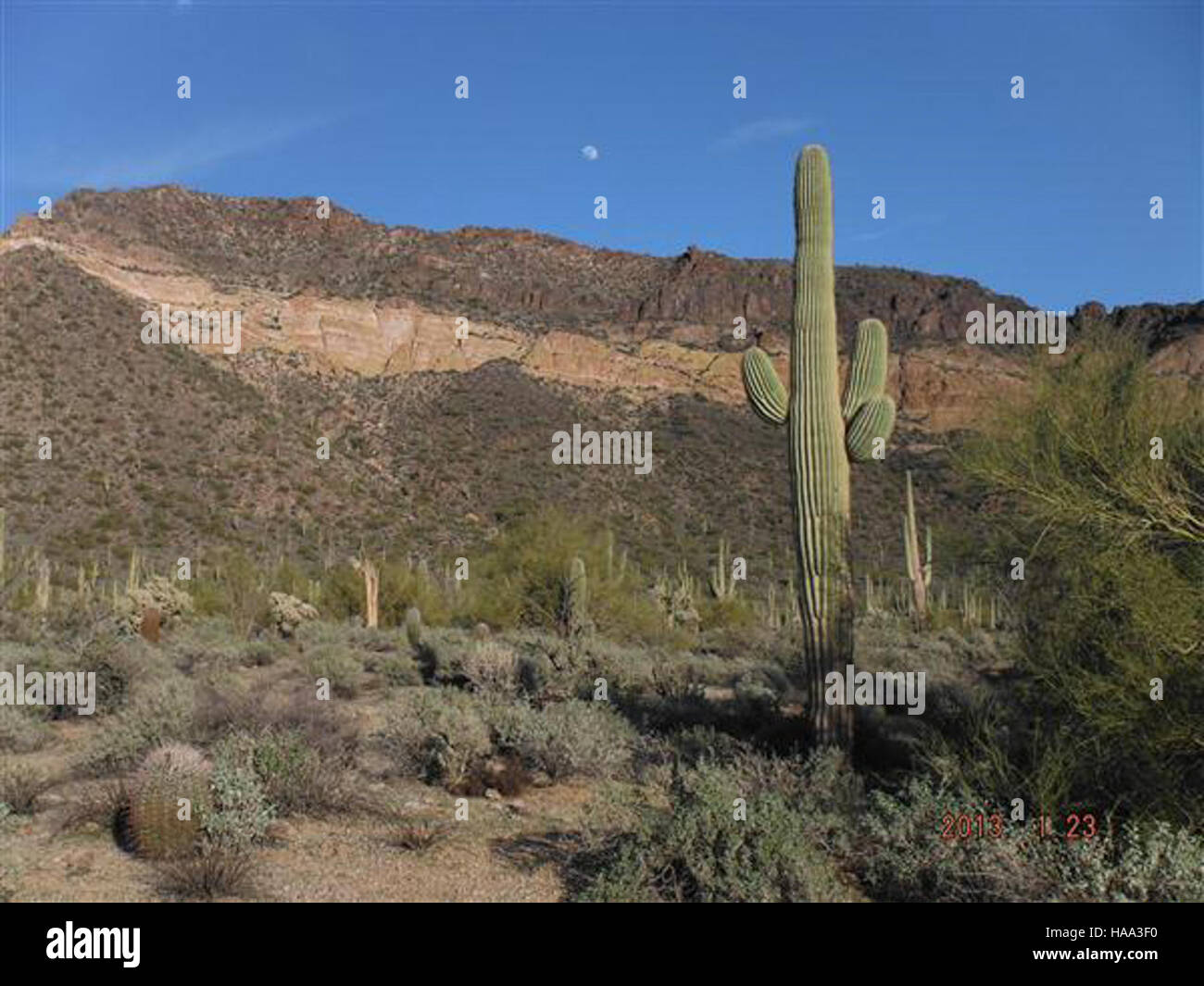usinterior 9147040870 Usery Mountain Regional Park in Arizona Stock ...
