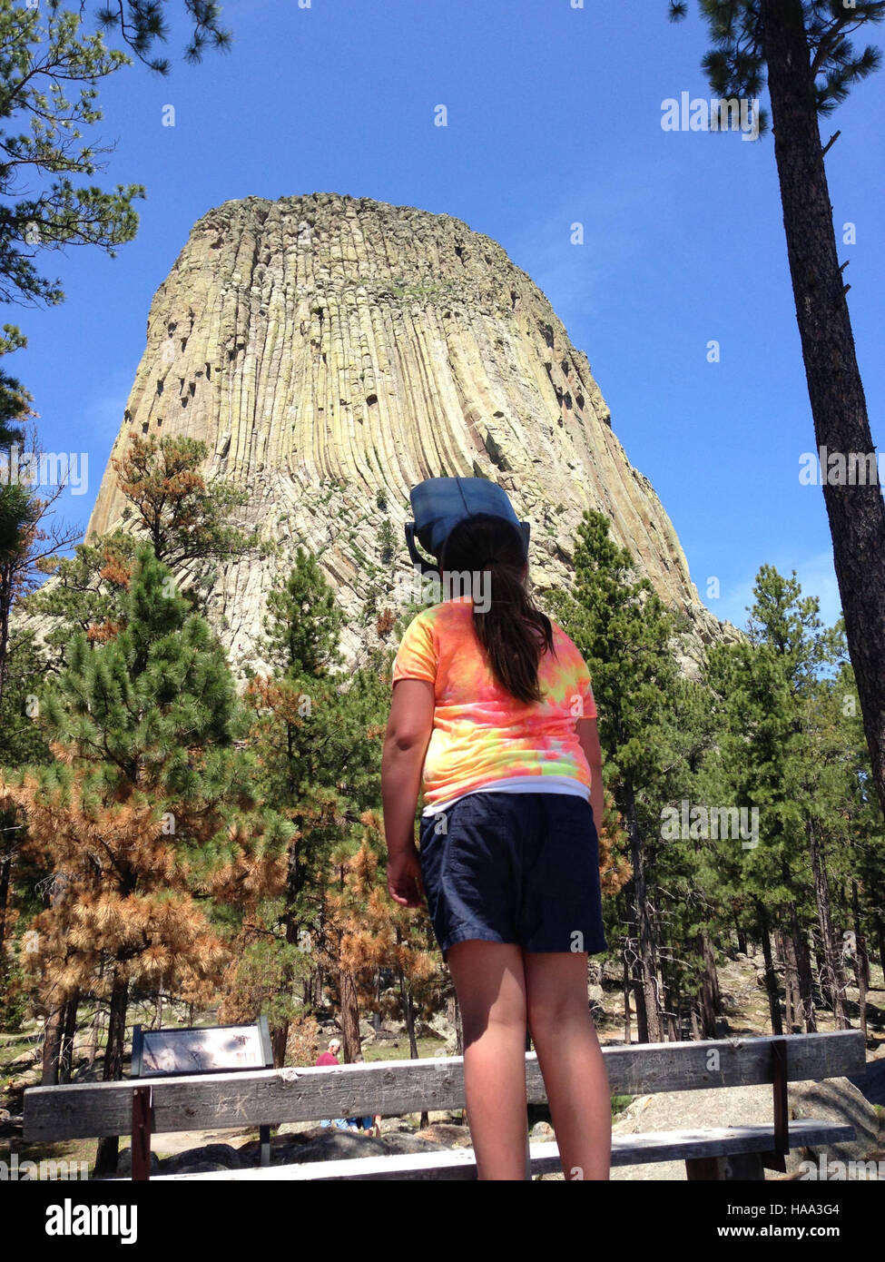 Devils Tower National Monument is a unique geological feature in ...