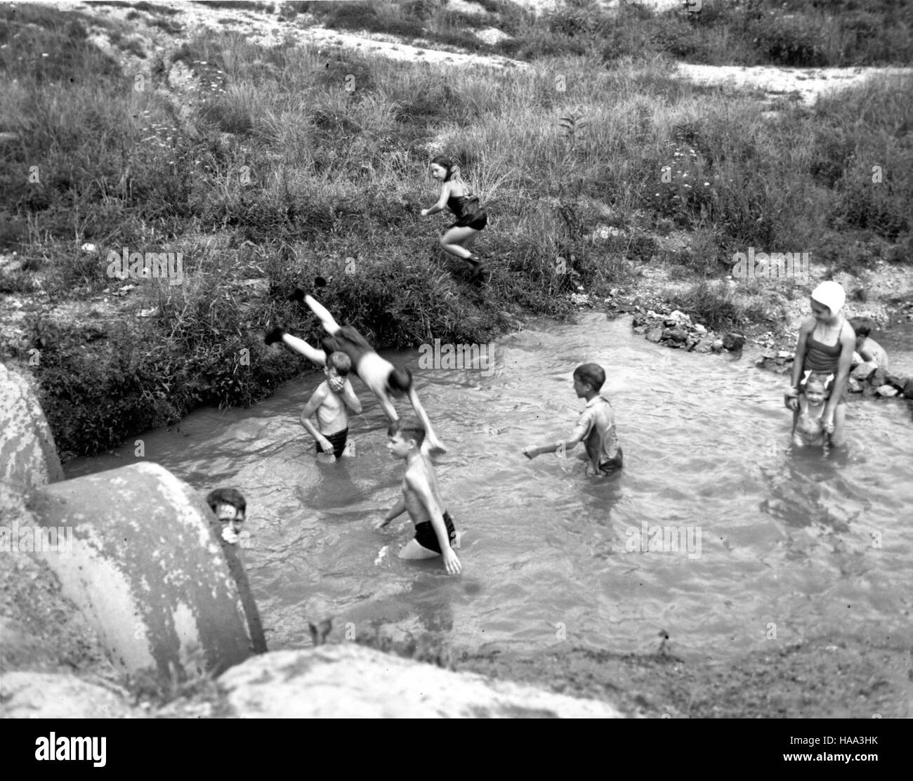 Image capturing beauty ecological Black and White Stock Photos & Images ...