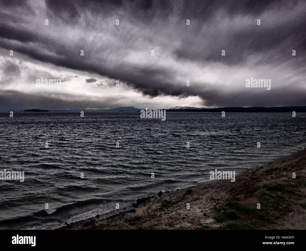 Yellowstone National Park is home to many stunning lakes, each with its ...