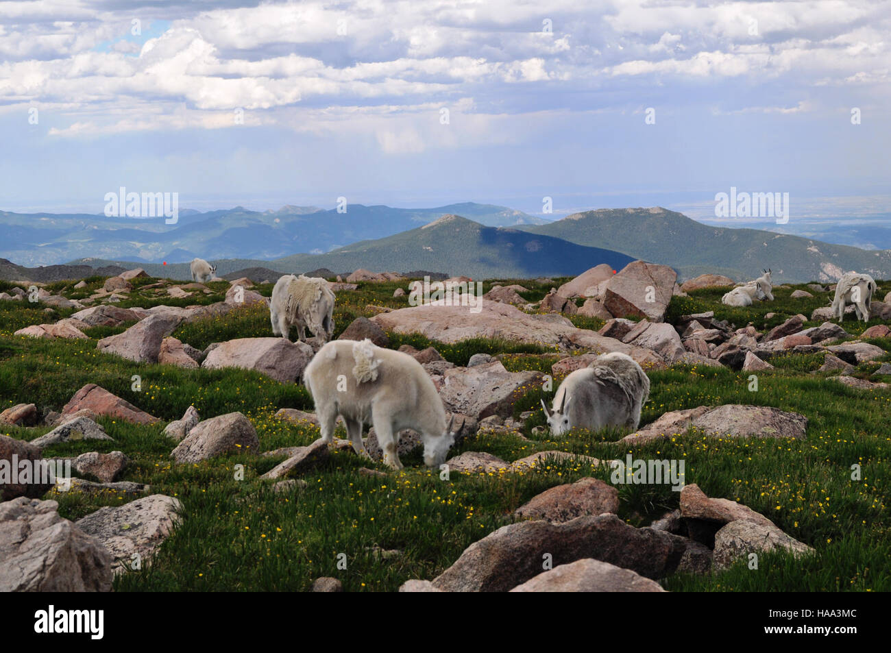 The Peace in the Mountains image captures the serene beauty of a ...