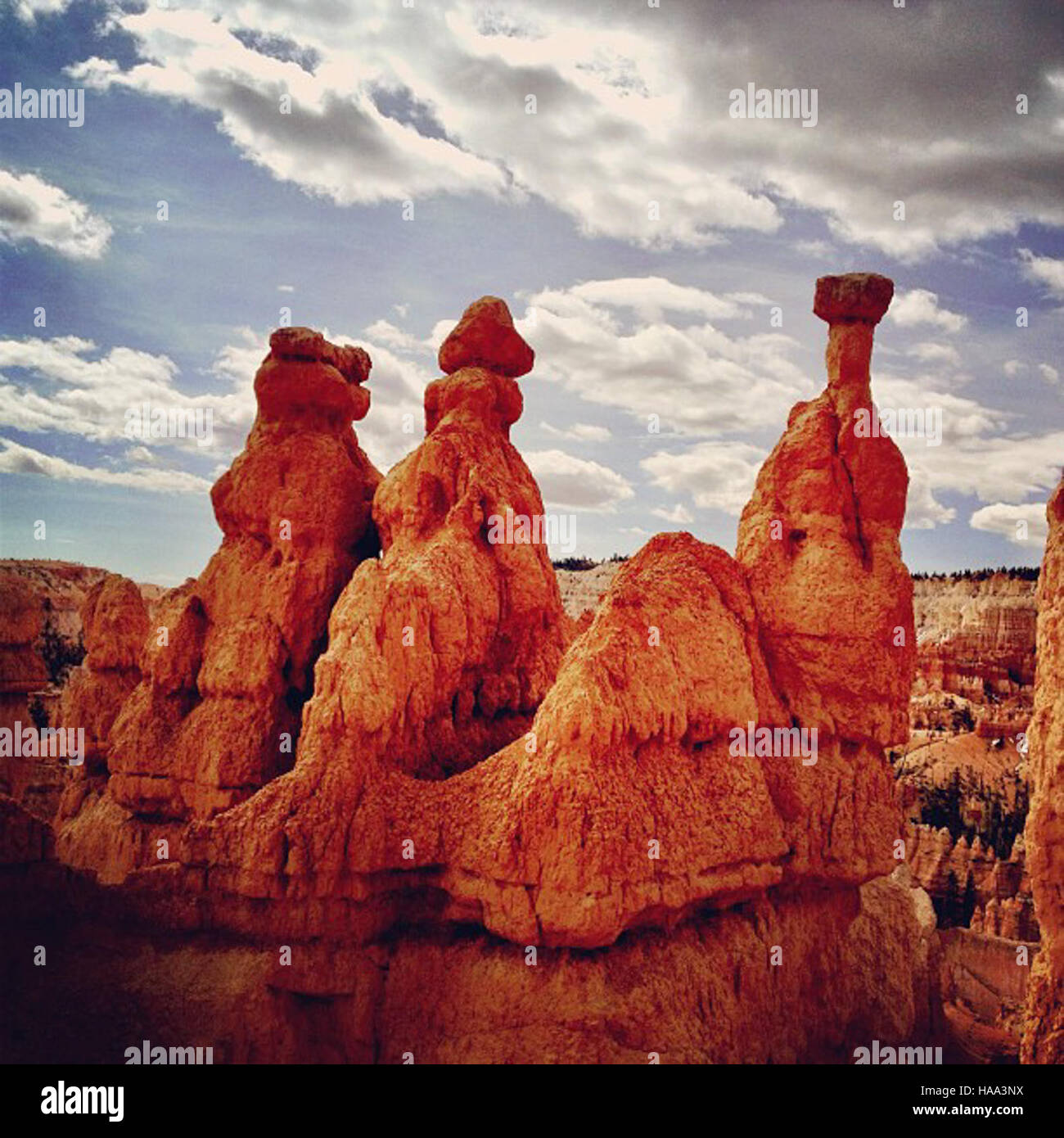 The image features the unique hoodoo rock formations in a national park ...