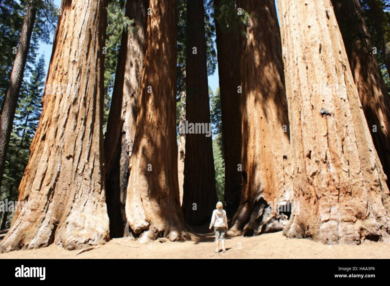 In this national park, visitors can explore and identify the diversity ...