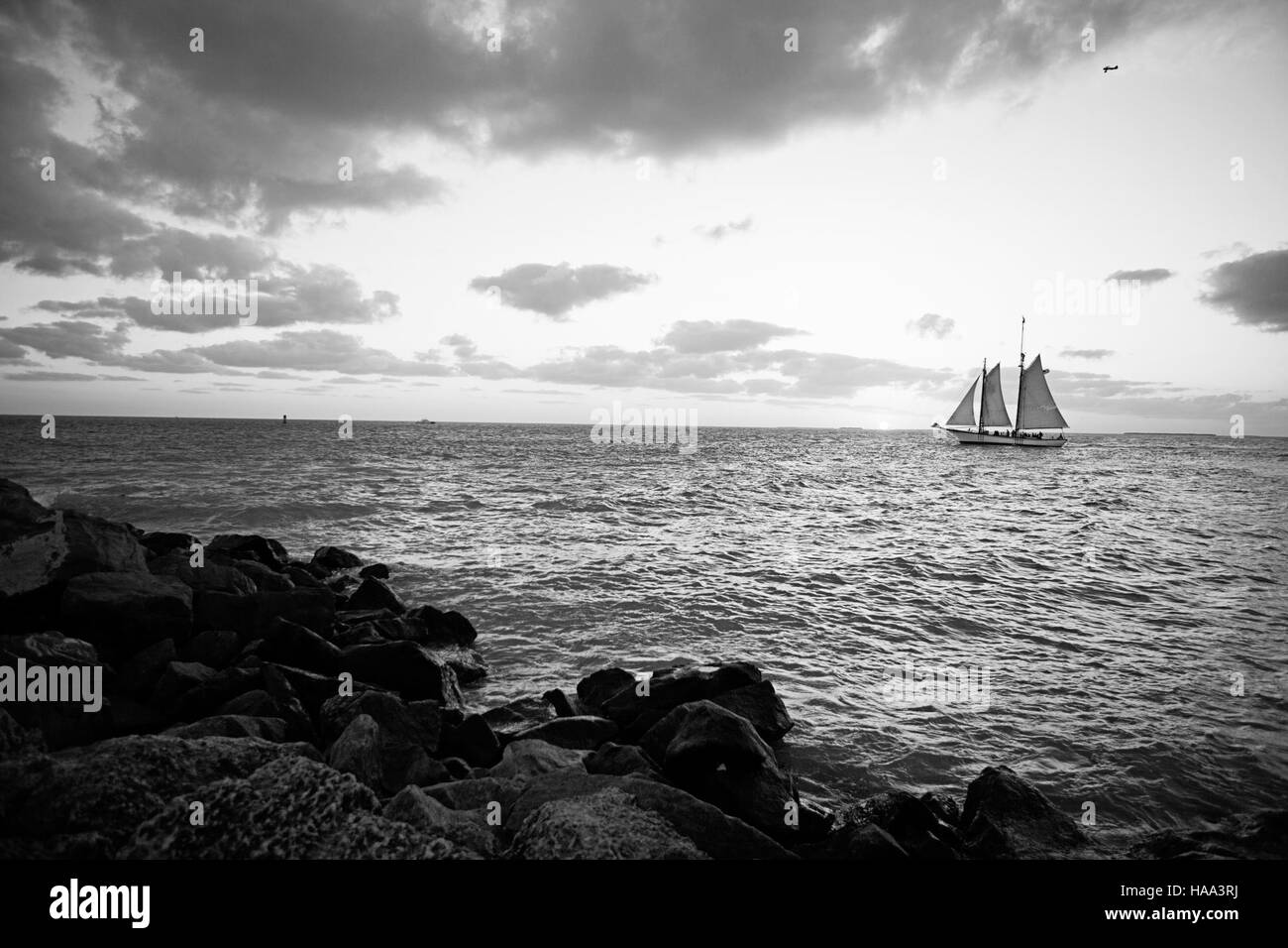 The black and white imagery captures the timeless beauty of the ...