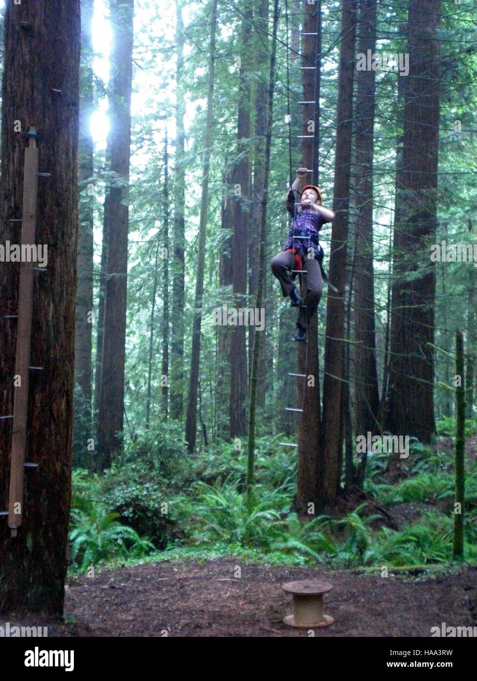 A ladder in a national park, likely part of a trail or scenic route ...