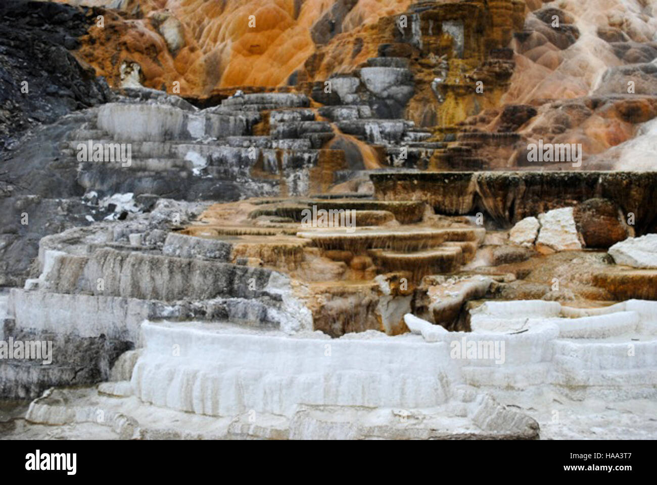 The northern part of Yellowstone National Park is known for its ...