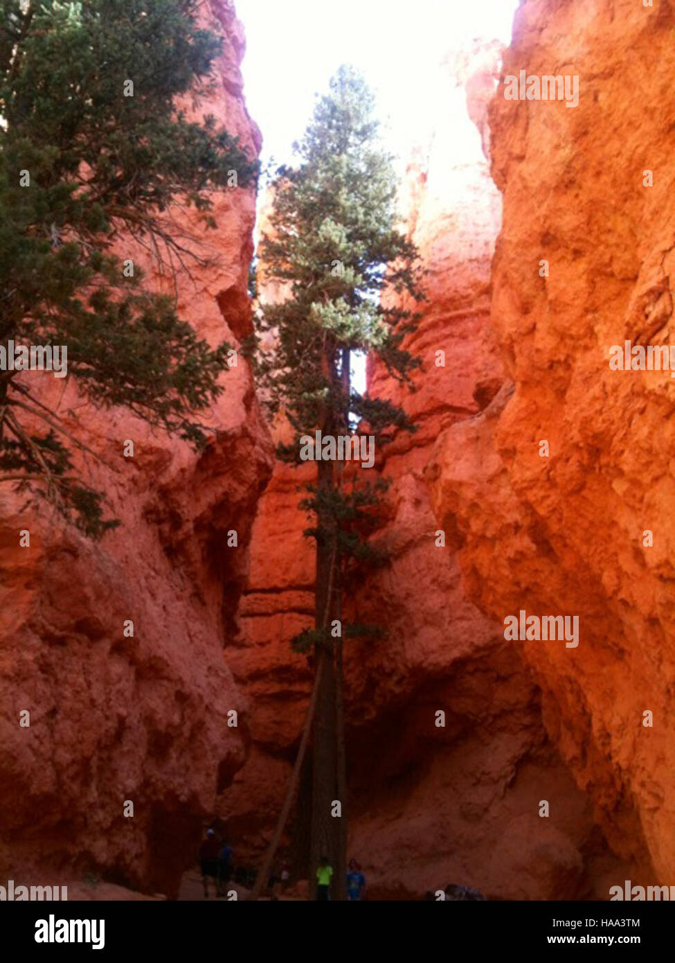 usinterior 9452192726 Look Closely Stock Photo - Alamy