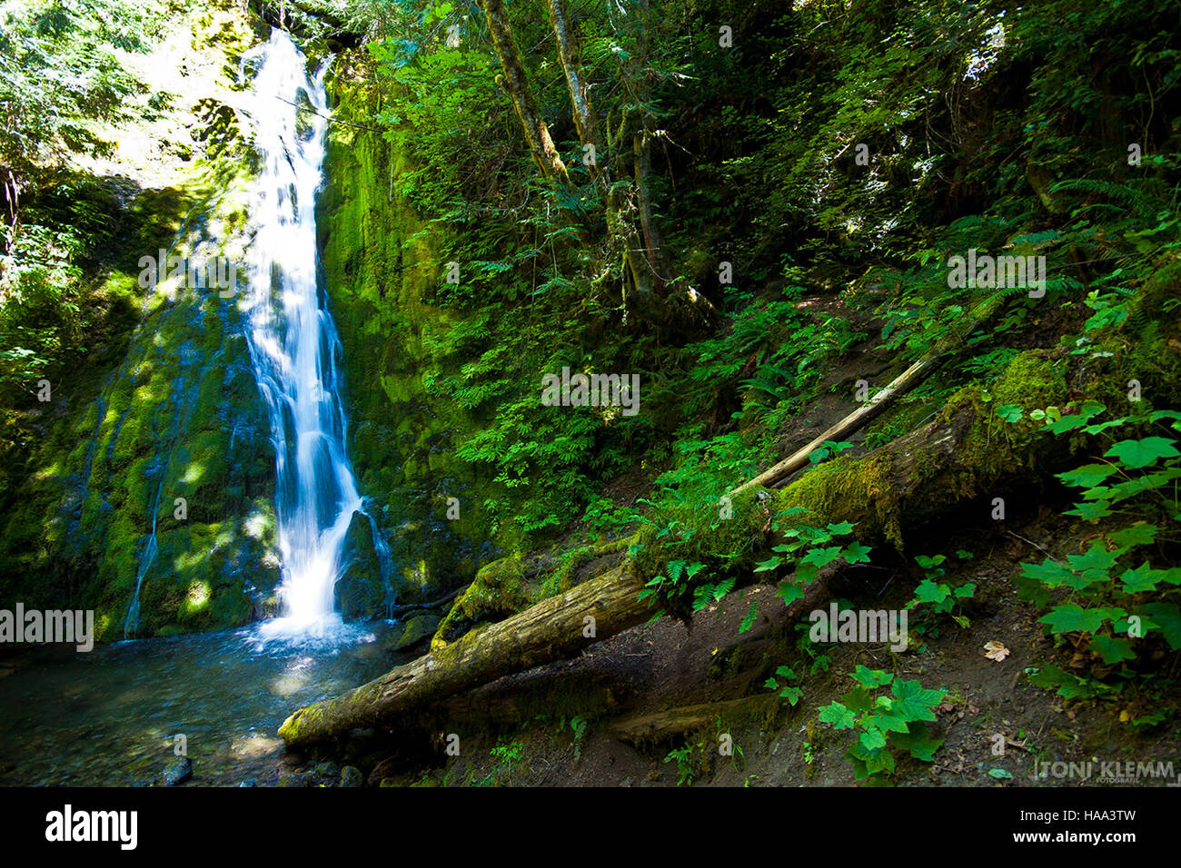 A photograph showcasing a waterfall in a U.S. national park ...