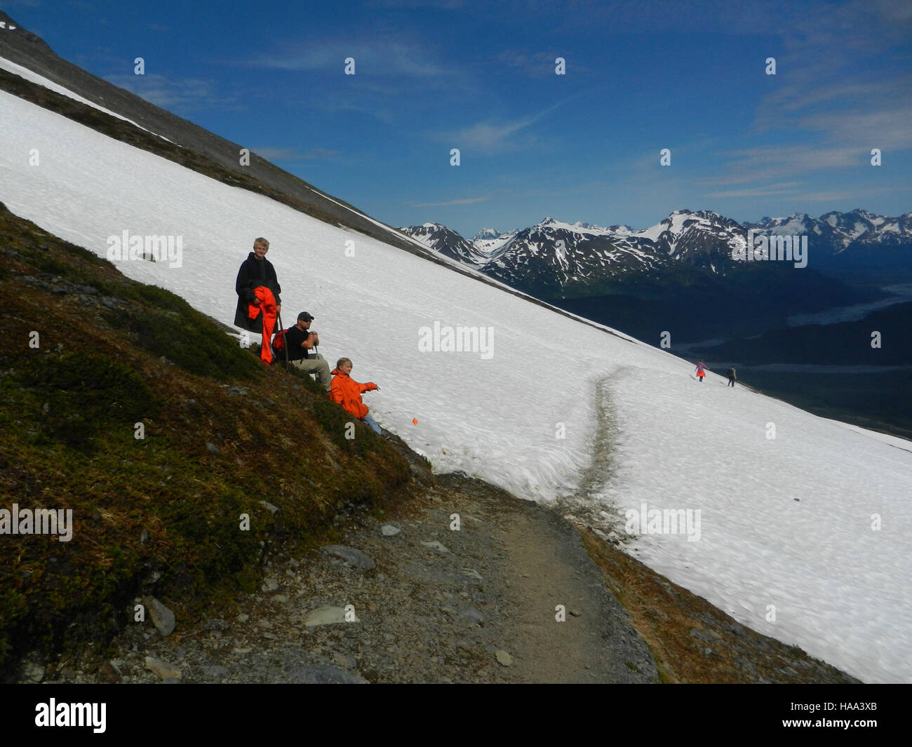 This image captures the breathtaking view from the Harden Ice Field in ...