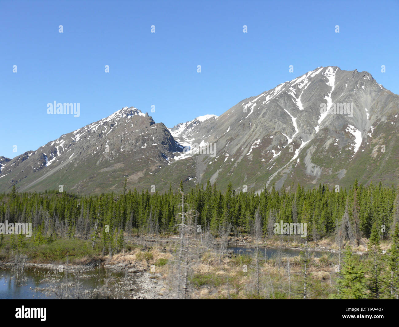 The Alaskan mountains in the national park feature stunning natural ...