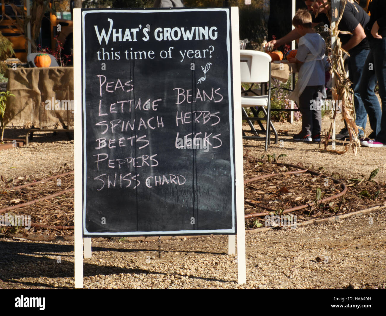 The USDA Harvest Festival in Washington D.C. features farm-to-fork ...