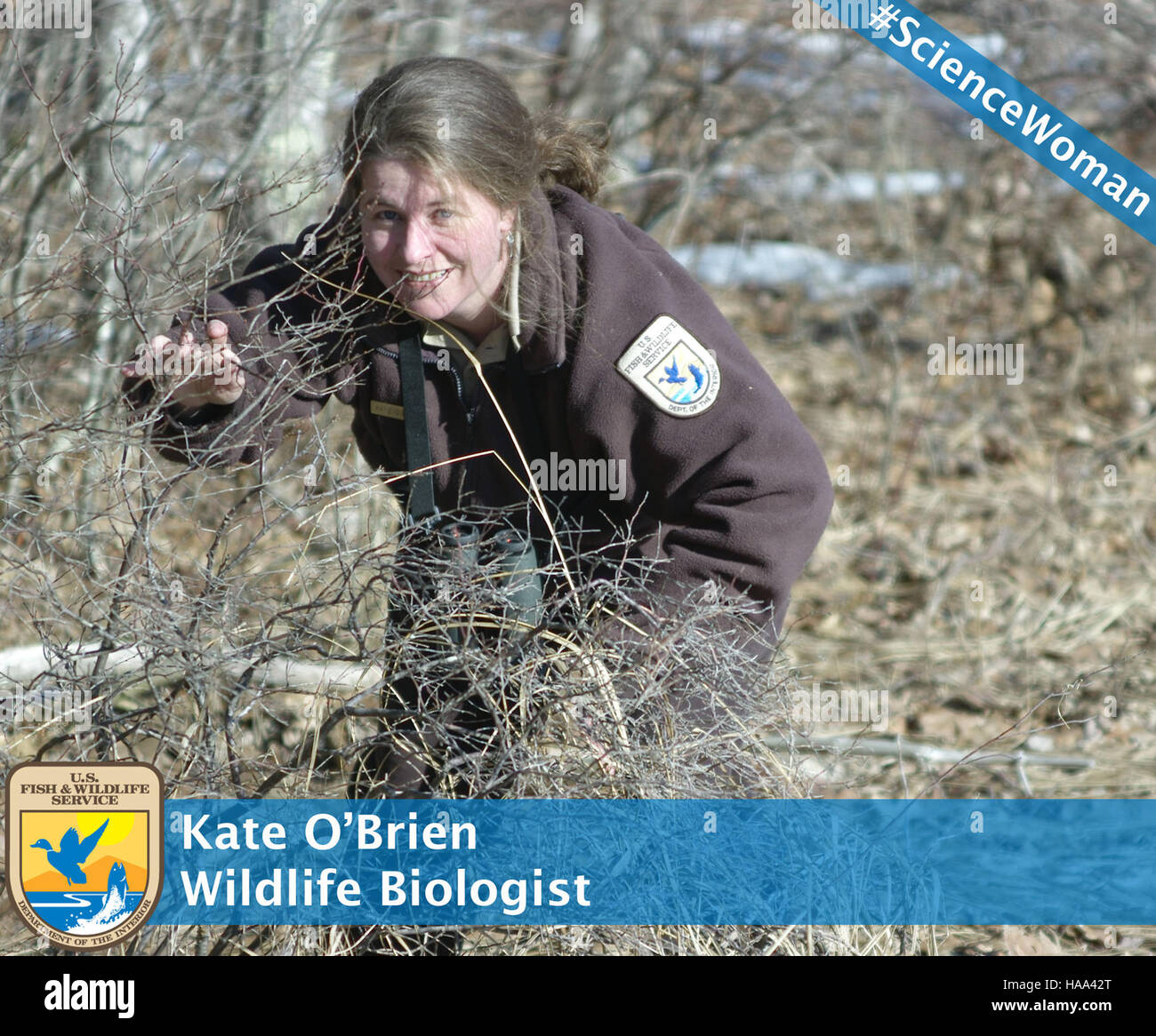 Kate O'Brien is recognized for her significant contributions to science ...