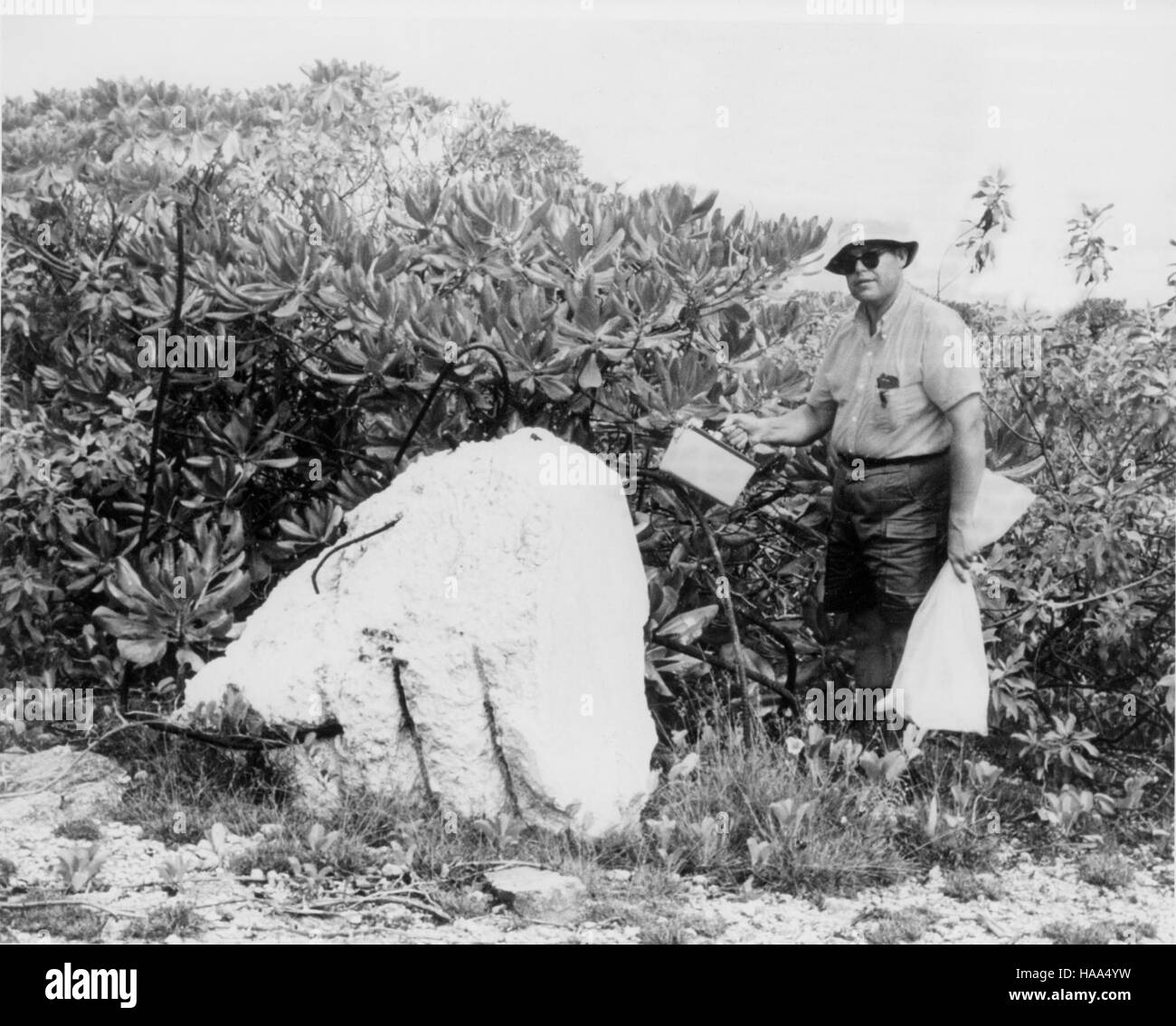 Future national park Black and White Stock Photos & Images - Alamy