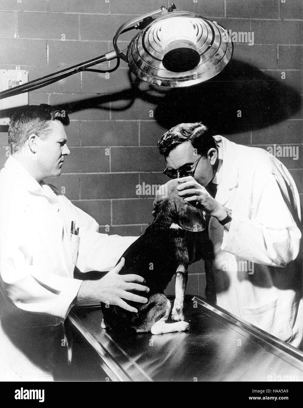 A high-definition image from a national park illustrating the ...