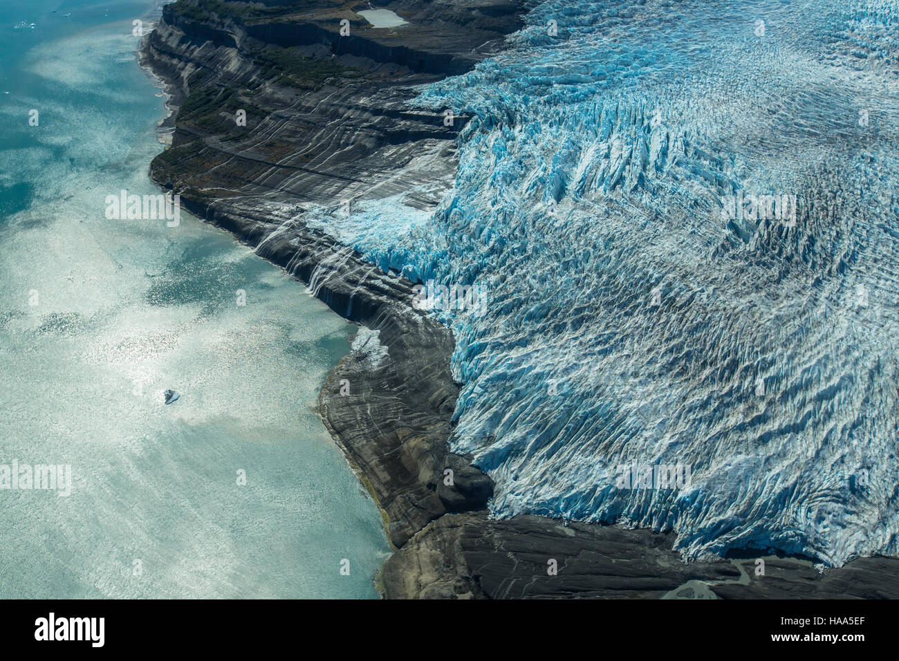 Guyot Glacier, located in Icy Bay within Wrangell-St. Elias National ...