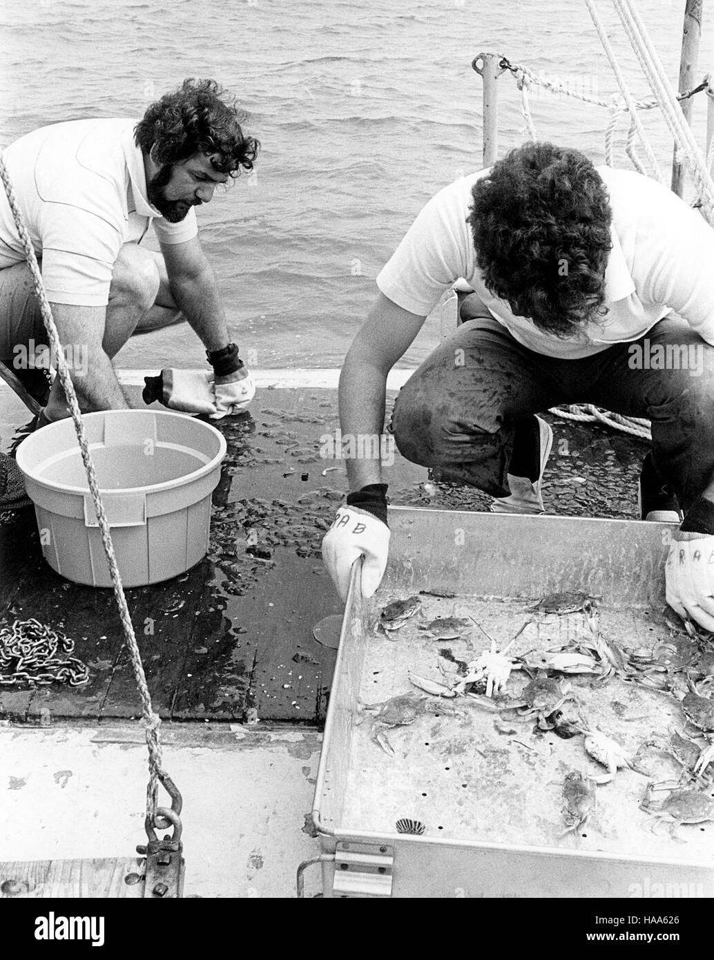 The Department of Energy focuses on managing and conserving natural ...