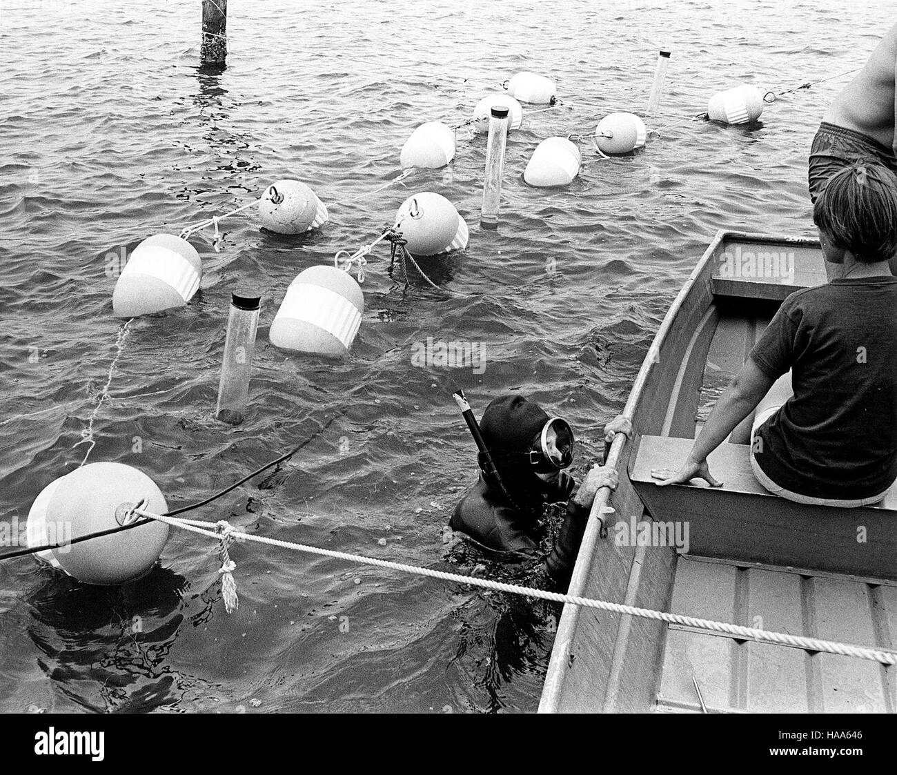 Wind of change government Black and White Stock Photos & Images - Alamy