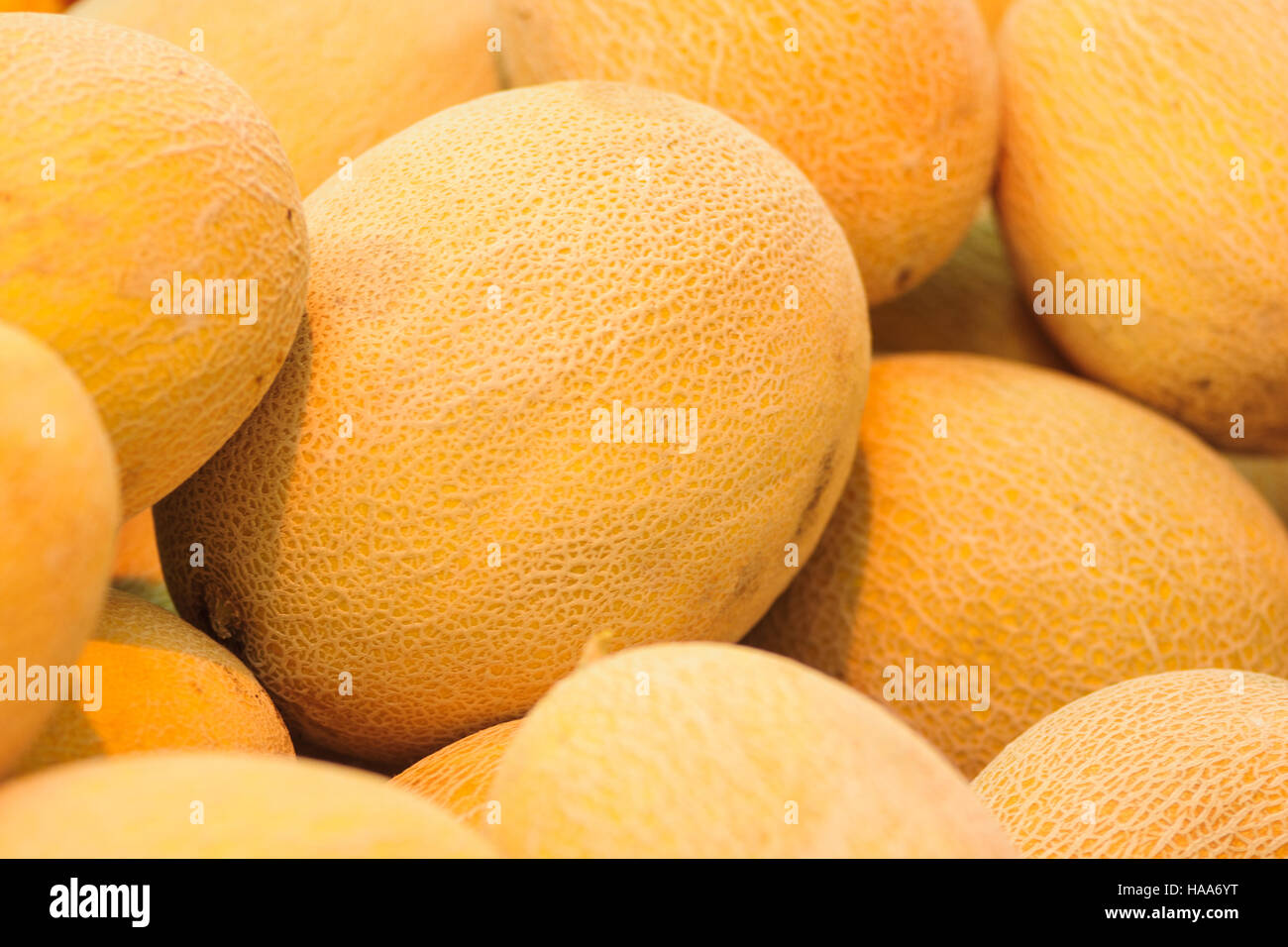 Melons on sale in the market Stock Photo - Alamy