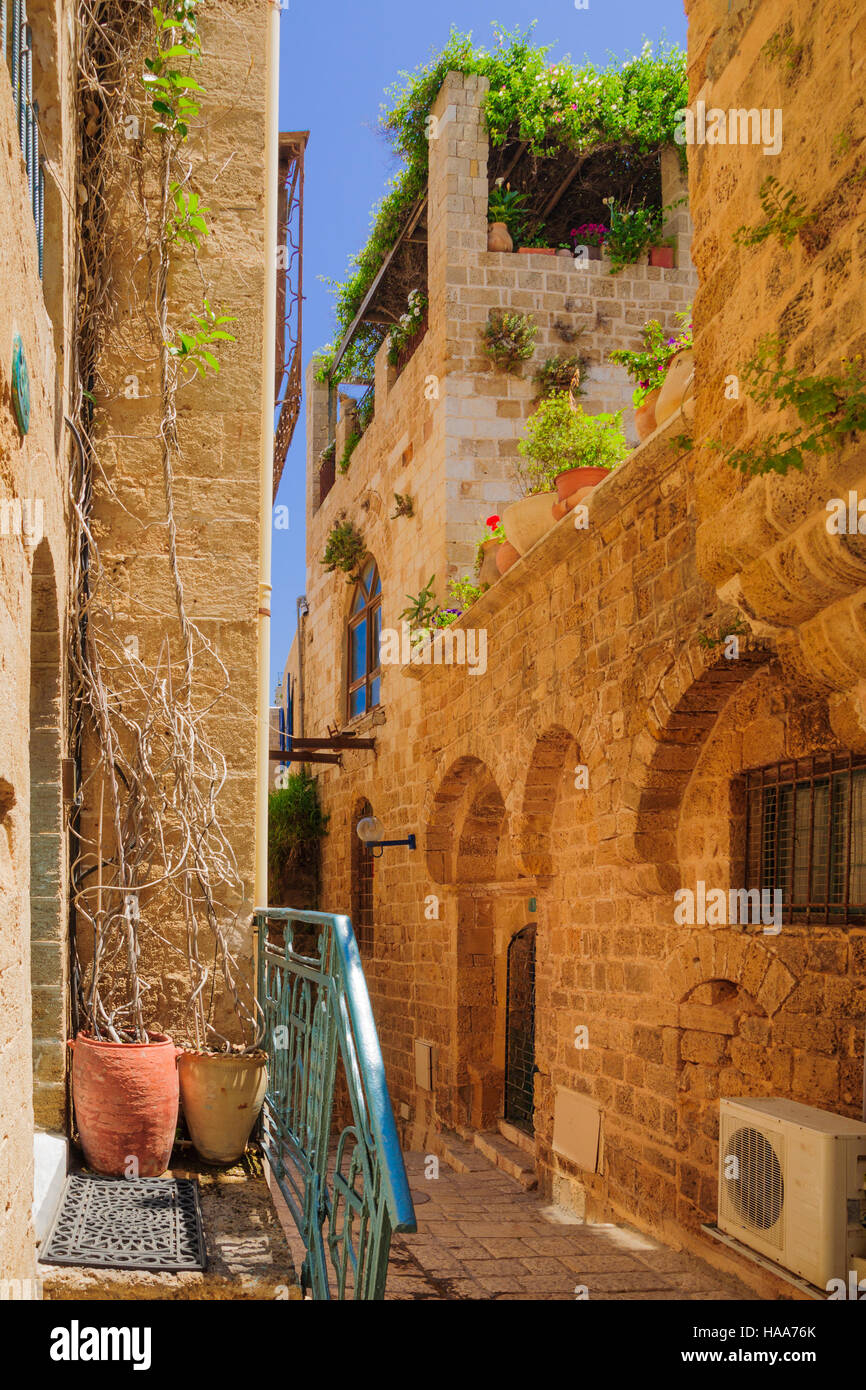 An alley in the old city of Jaffa, Tel-Aviv-Yafo, Israel Stock Photo ...