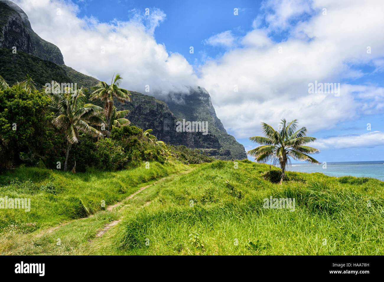 Lord howe island mt gower hiking hi-res stock photography and images ...