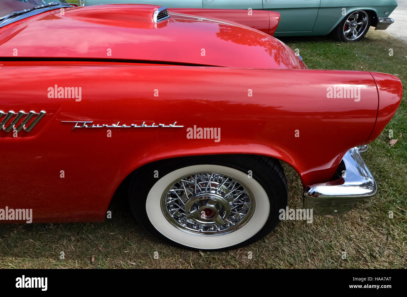 Ford thunderbird 1950s hi-res stock photography and images - Alamy