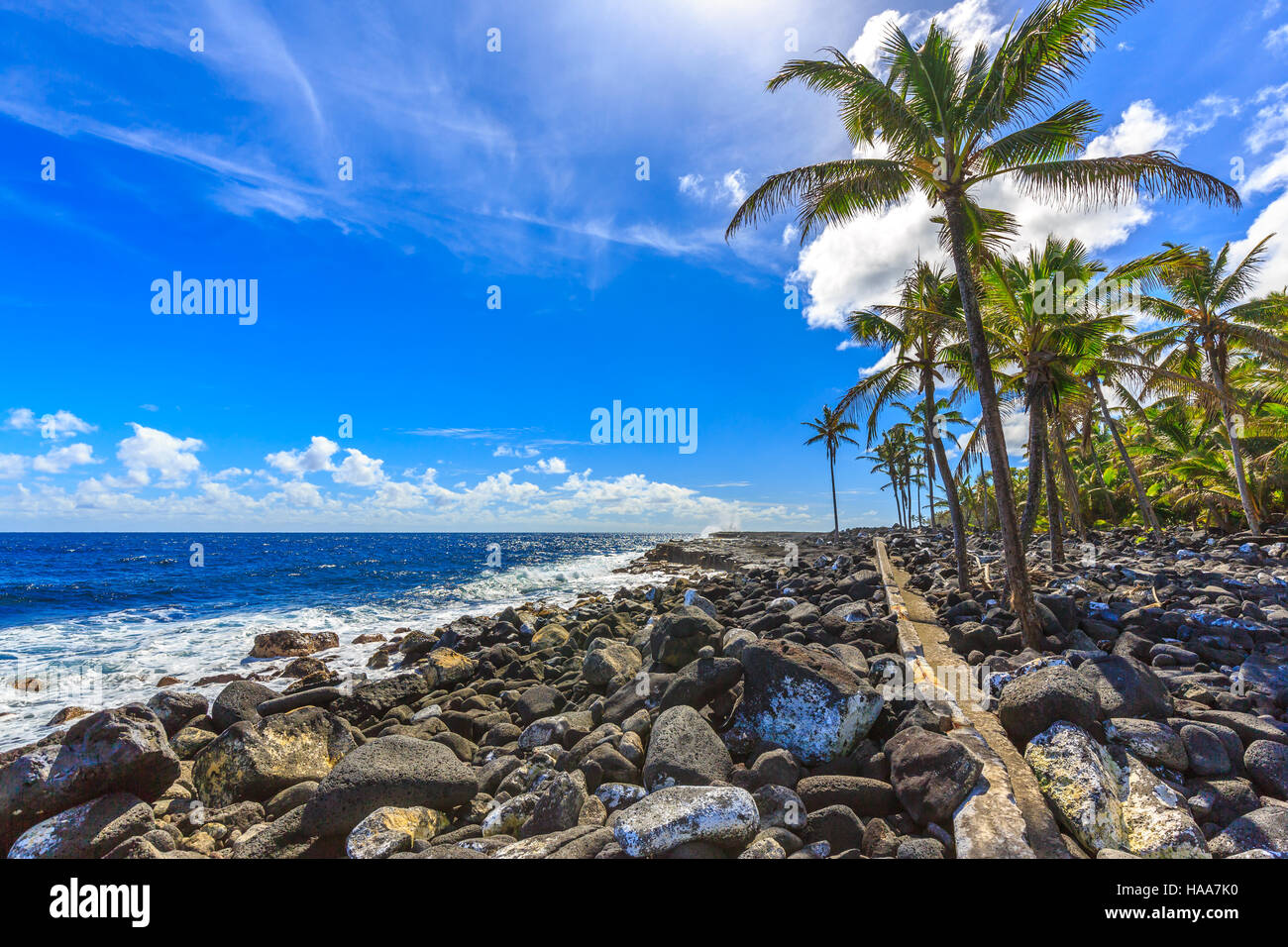 Black lava rocks form a rocky beach with aqua blue water, high palm ...