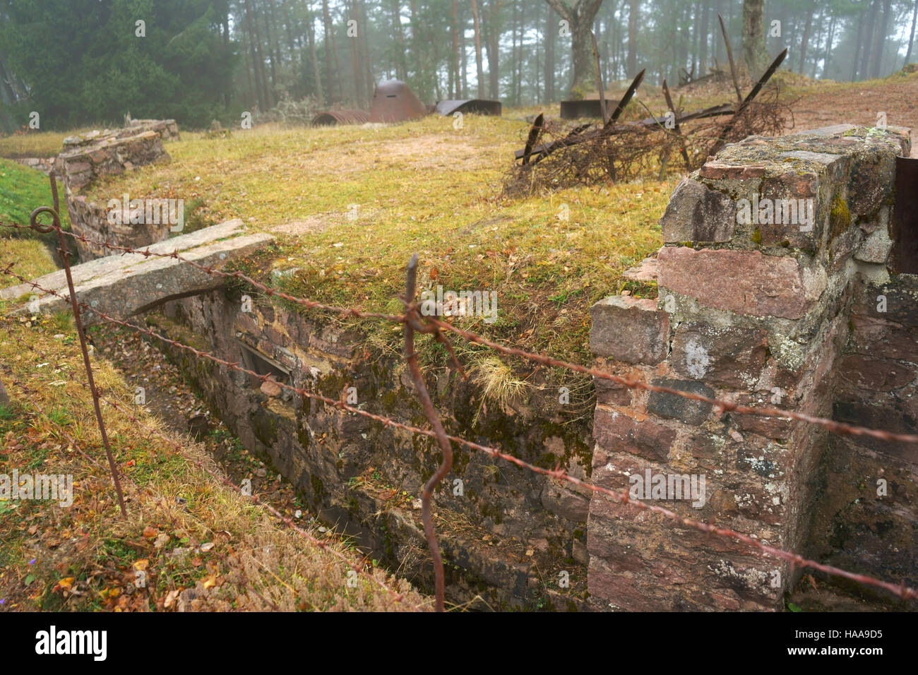 Trenches, fortifications, barbed wire at The Ligne or Linekopf battle ...