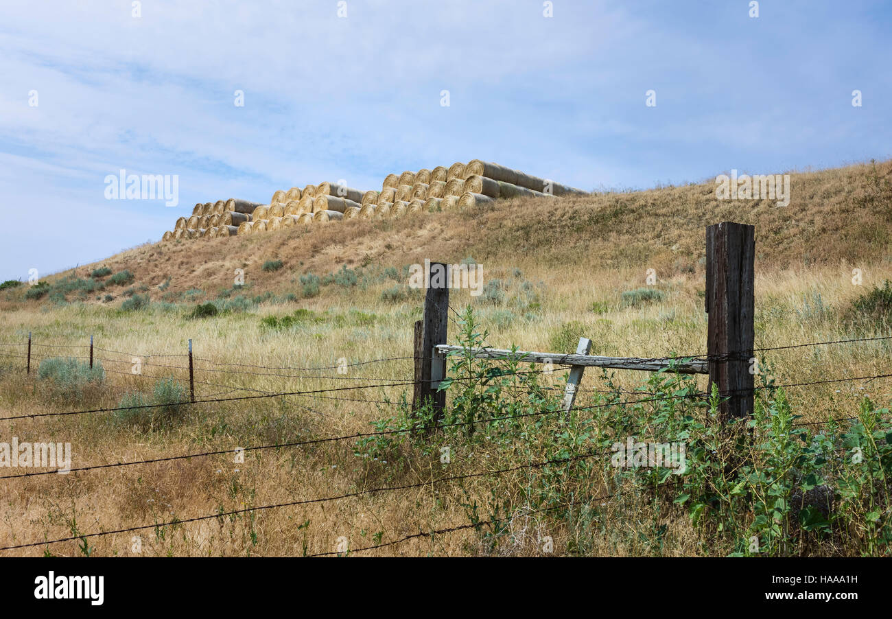 Bales of hay on top of a ridge surrounded by bush land and prairie near ...