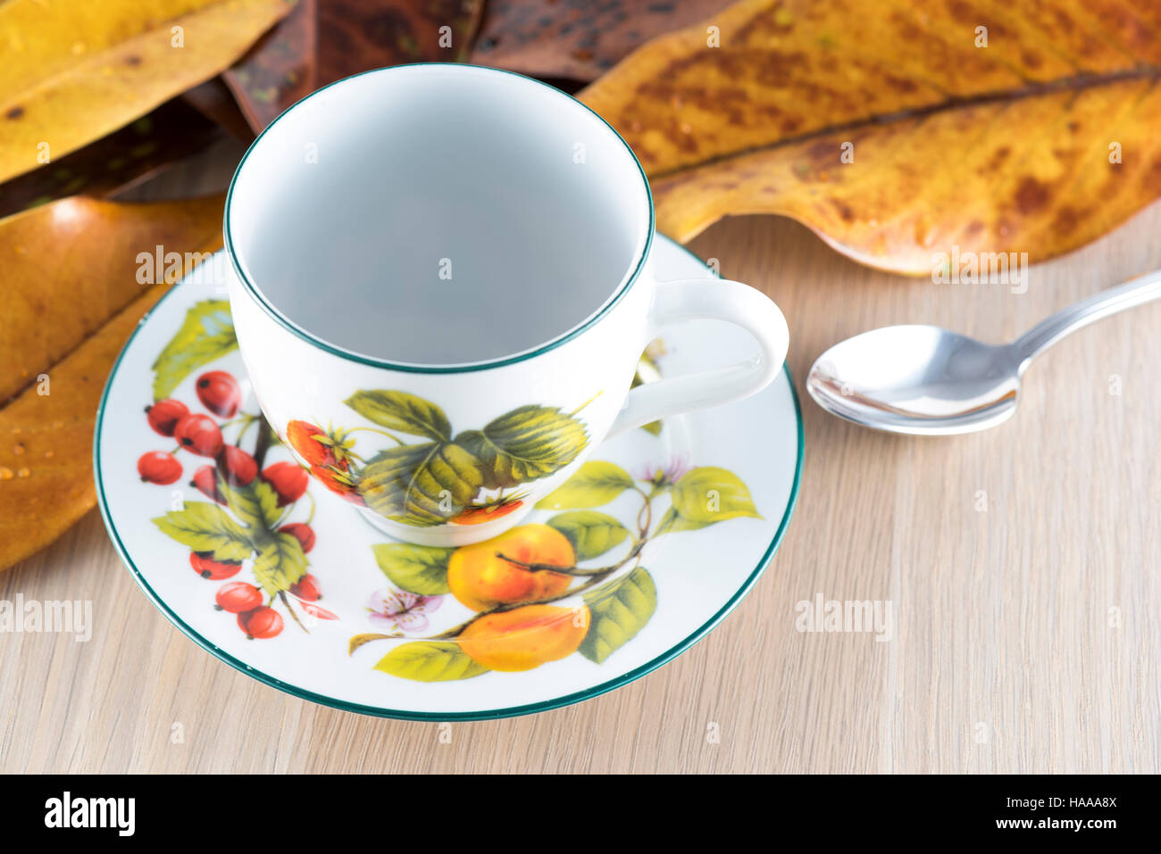 Tea cup and Magnolia Grandiflora leaf Stock Photo - Alamy