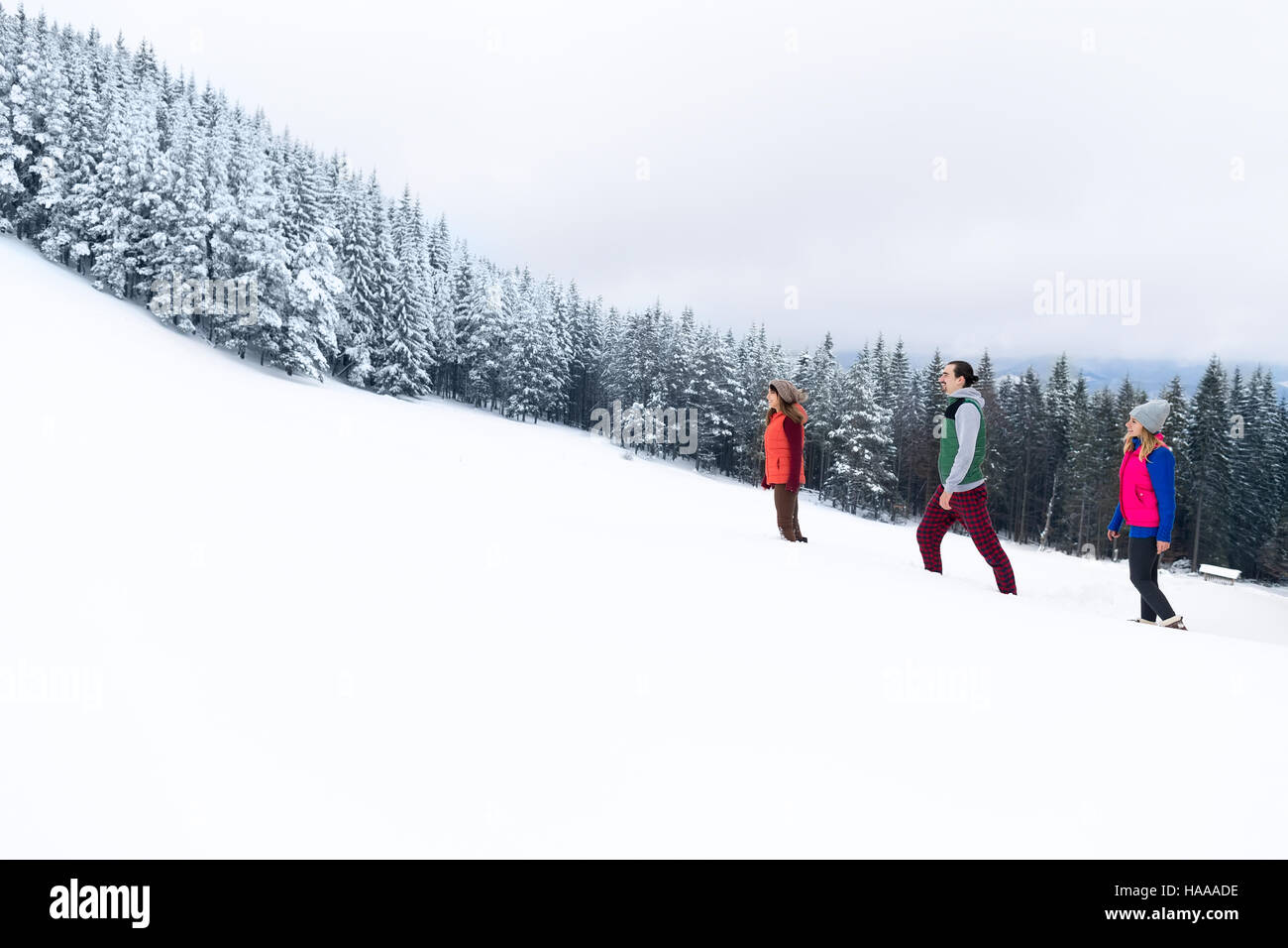 Friends Walking Winter Snow Mountain Forest, Young People Group ...