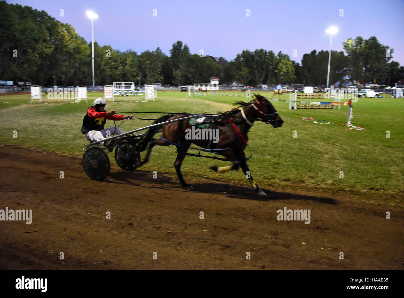 trotting racing at glen innes showground during the glen innes show in ...