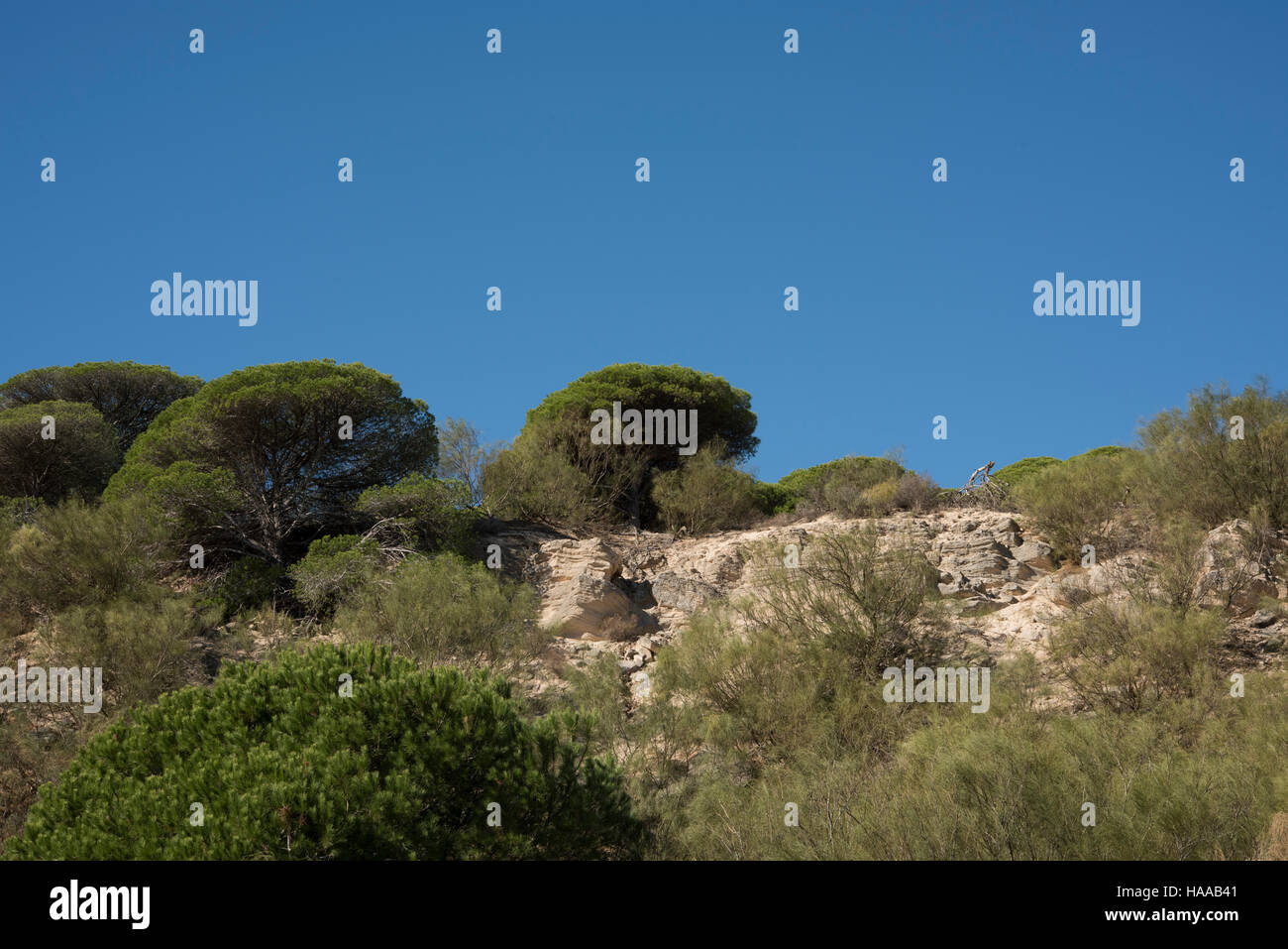 Los pajares hi-res stock photography and images - Alamy