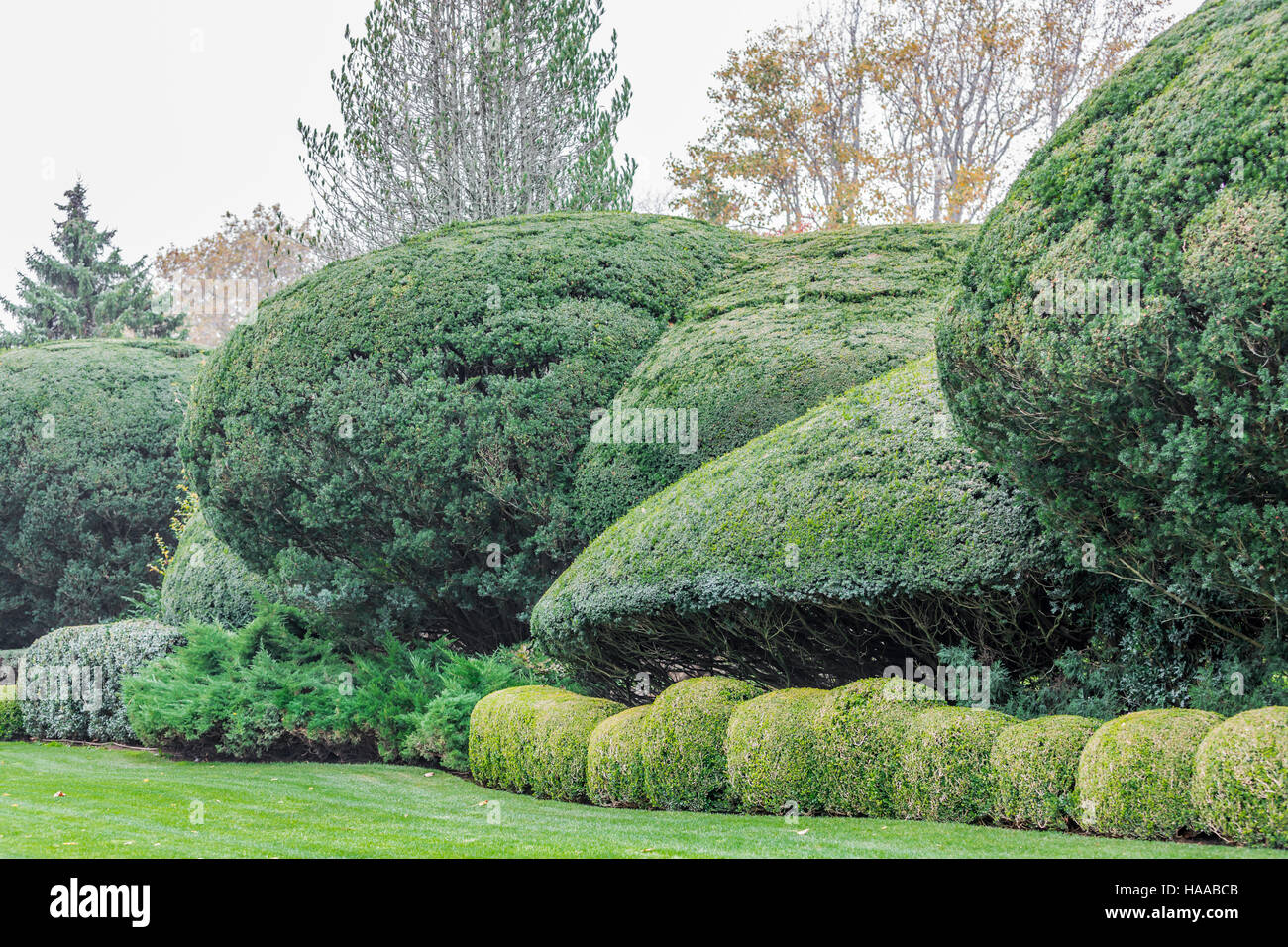Shaped Hedges High Resolution Stock Photography and Images - Alamy