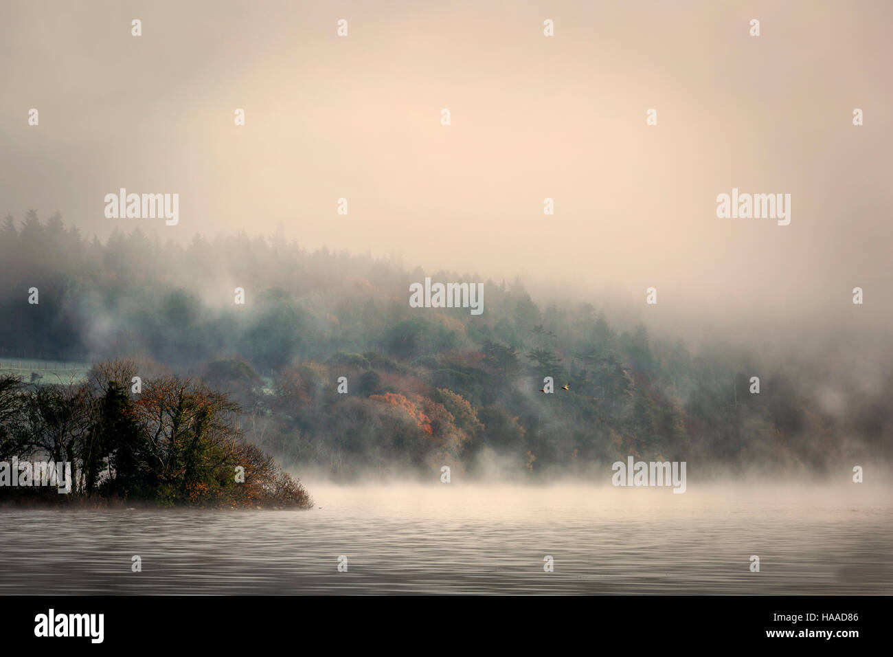 Irish postcard hi-res stock photography and images - Alamy