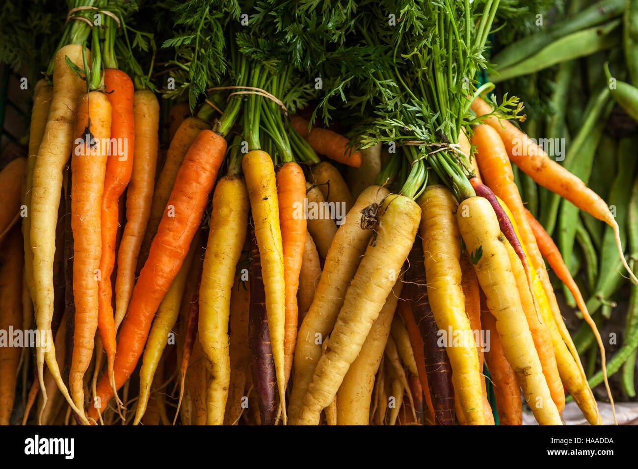 Casserole of mud hi-res stock photography and images - Alamy