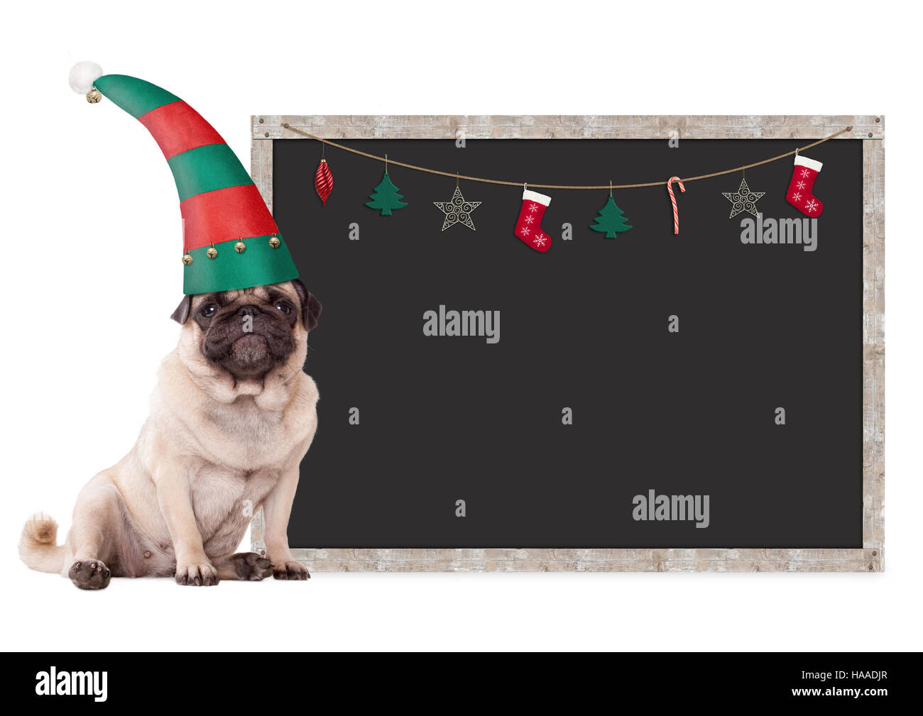 Christmas elf wearing green Cut Out Stock Images & Pictures - Alamy