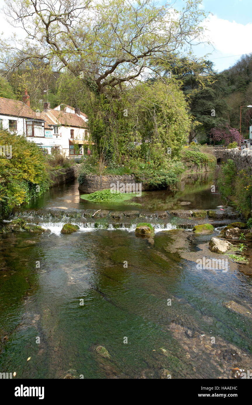 Cheddar village hi-res stock photography and images - Alamy