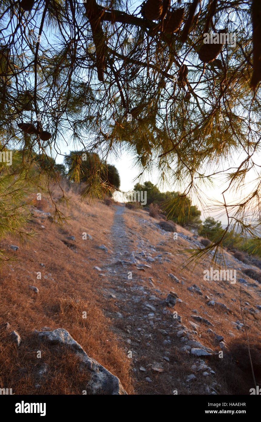 Nature photography out in the open space Stock Photo - Alamy