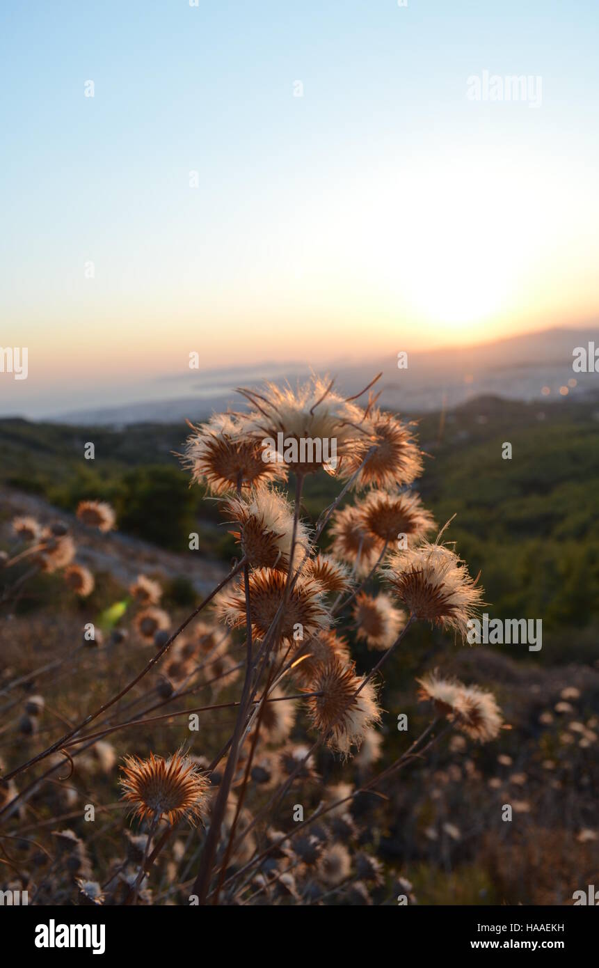 Nature photography out in the open space Stock Photo - Alamy